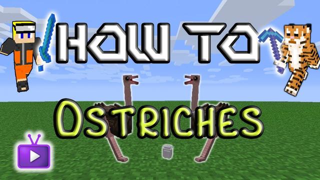 How to Tame an Ostrich in Minecraft: Step-by-Step Guide